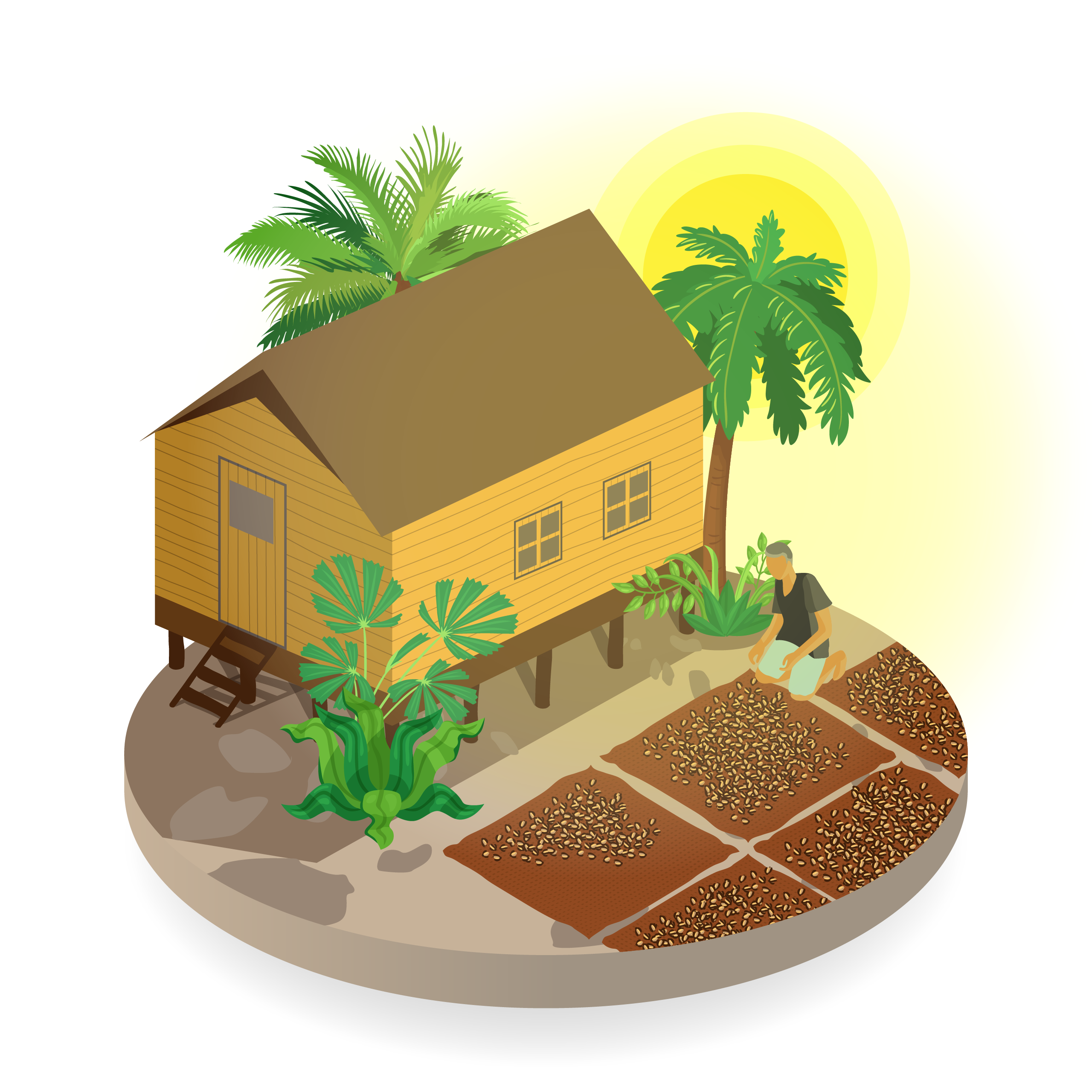 Forestwise - Organic FFL Illipe Butter RBD